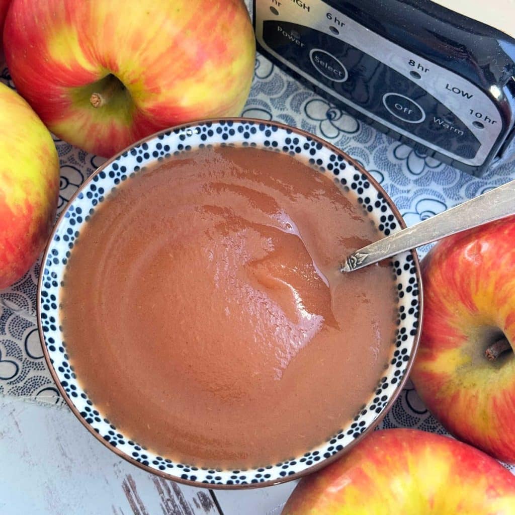 Crockpot Applesauce - Foodtastic Mom