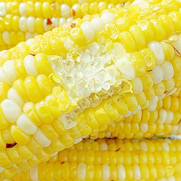 Air Fryer Corn on the Cob - Foodtastic Mom