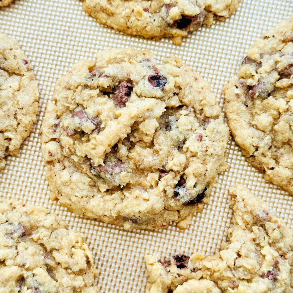 Easy Oatmeal Cookies Recipe with Chocolate Raisins - Foodtastic Mom