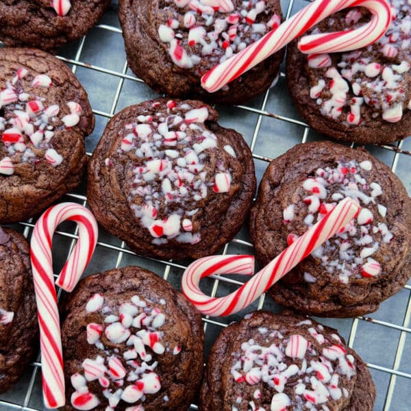 Easy Double Chocolate Peppermint Cookies Recipe - Foodtastic Mom